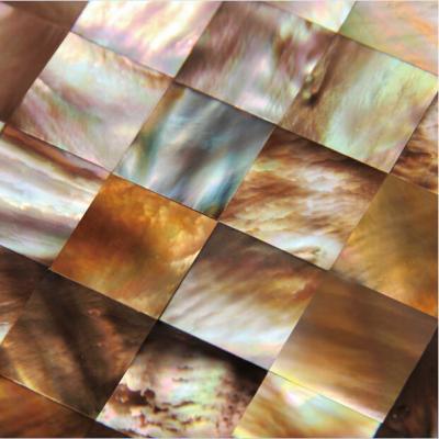 China Natural Penguin Shell Wall Covering Mosaic Panel Square Pieces 20x20mm Custom Size for sale