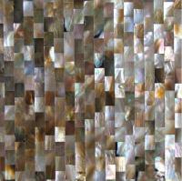 China Natural Penguin Sea Shell Wall Covering Mosaic Panel Square Pieces 10x20mm for sale