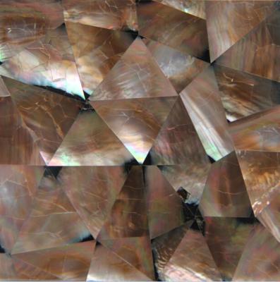 China Natural Seashell Wall Covering Penguin Shell Mosaic Panel Triangle Pieces 10-35mm for sale