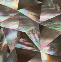 China Natural Seashell Wall Covering Penguin Shell Decorating Wall Panel Triangle Pieces 10-35mm for sale