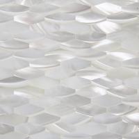 China Natural Seashell Wall Covering Trochus Shell Decorating Wall Panel Rhombus Piece 10x20mm for sale