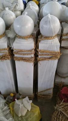 China Guangxi White Marble Gate Post 600x600mm Chinese Carrara Marble Gate Pillars for sale