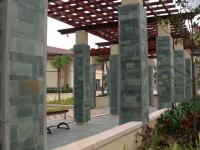 China Chinese Green Slate Tile 30x60 60x60cm Natural Stone Paving for Floor Wall for sale