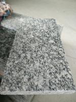 China Silver Grey Sea Wave Flower Granite Floor Tiles Slabs 600x600mm 20mm for sale