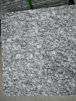 China Silver Grey Sea Wave Flower Granite Floor Tiles Slabs 600x600mm 20mm for sale