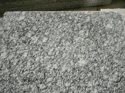 China Silver Grey Sea Wave Flower Granite Floor Tiles Slabs 600x600mm 20mm for sale