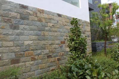 China Multicolor Slate Mushroom Stone Wall Cladding 30x15cm 15-25mm Natural Rust Slate for sale
