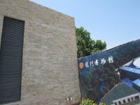 China Travertine Z Stone Cladding Beige Limestone Culture Stone Natural Stone Veneer Wall Panel 600x150mm for sale