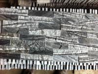 China Black Forest Marble Ledgestone 600x150mm Natural Split Polished Wall Cladding for sale
