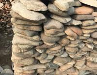 China Natural Multicolor Pebble Stone Wall Cladding 10-25cm for Indoor Outdoor Decoration for sale