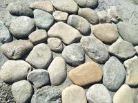 China Natural Multicolor Pebble Stone Wall Cladding 10-25cm for Indoor Outdoor Decoration for sale