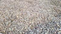 China Natural River Pebble Stone 5-10cm Multicolor Cobble for Wall Floor Landscaping Decoration for sale