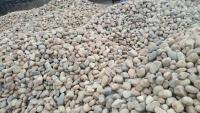 China Natural River Pebble Stone 5-10cm Multicolor Cobble for Wall Floor Landscaping Decoration for sale