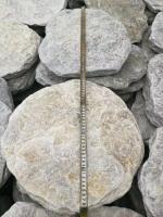 China Natural Oyster Quartzite Stepping Stones 30x60cm Garden Pavers for Landscaping for sale