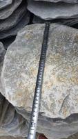 China Natural Oyster Quartzite Stepping Stones 30x60cm Garden Pavers for Landscaping for sale
