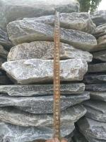 China Natural Oyster Quartzite Stepping Stones 30x60cm Garden Pavers for Landscaping for sale