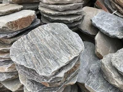 China Natural Oyster Quartzite Stepping Stones 30x60cm Garden Pavers for Landscaping for sale