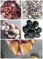 China Polished White Pebble Stones 3-5cm Natural River Cobble for Landscaping Decoration for sale