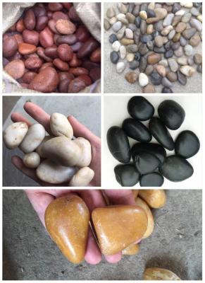 China Polished White Pebble Stones 3-5cm Natural River Cobble for Landscaping Decoration for sale