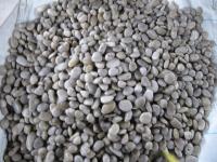 China Polished White Pebble Stones 3-5cm Natural River Cobble for Landscaping Decoration for sale
