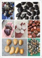 China Polished White Pebble Stones 2-3cm Natural River Cobble for Landscaping Decoration for sale