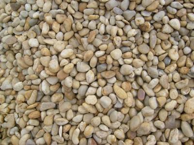 China Natural Washed White Pebble Stones 2-3cm for Landscaping Decoration for sale