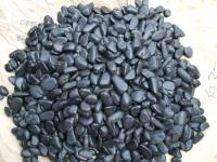 China Polished Black Pebble Stones 2-3cm Natural River Cobble for Landscaping Decoration for sale