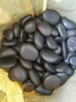 China Polished Black Pebble Stones 2-3cm Natural River Cobble for Landscaping Decoration for sale