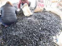 China Polished Black Pebble Stones 3-5cm Natural River Cobble for Landscaping Decoration for sale