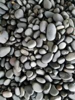 China Water Washed Black Pebble Stones 2-3cm Natural Landscaping Cobble for Garden Walkway Decoration for sale