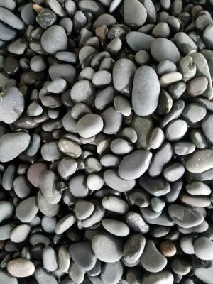 China Water Washed Black Pebble Stones 2-3cm Natural Landscaping Cobble for Garden Walkway Decoration for sale