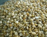 China Polished Yellow Cobble Stones 3-5cm Natural River Pebbles for Landscaping Decoration for sale