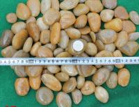 China Polished Yellow Cobble Stones 3-5cm Natural River Pebbles for Landscaping Decoration for sale