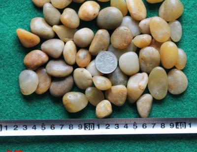 China Polished Yellow River Pebble Stones 3-5cm for Landscaping Decoration for sale