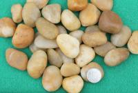 China Polished Yellow River Pebble Stones 3-5cm for Landscaping Decoration for sale