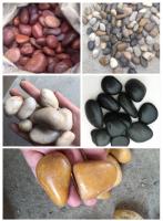 China Polished Yellow River Pebble Stones 3-5cm for Landscaping Decoration for sale