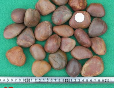 China Polished Red Pebble Stones 3-5cm Natural River Cobbles for Landscaping Decoration for sale