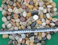 China Polished Multicolor Pebble Stones 2-3cm Natural River Cobbles for Landscaping Decoration for sale