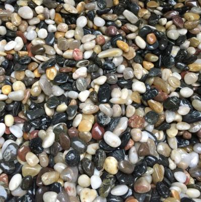 China Polished Multicolor Pebble Stones 2-3cm Natural River Cobbles for Landscaping Decoration for sale