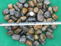 China Polished Natural River Pebble Stones 2-3cm for Landscaping Decoration for sale