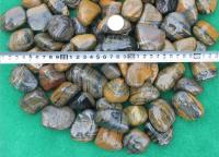 China Polished Natural River Pebble Stones 2-3cm for Landscaping Decoration for sale