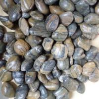 China Polished Natural River Pebble Stones 2-3cm for Landscaping Decoration for sale