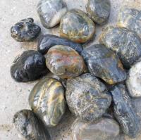China Polished Natural River Pebble Stones 2-3cm for Landscaping Decoration for sale