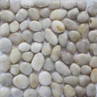 China White Pebble Mosaic 30x30cm Polished River Stone Sheet on Mesh for Landscaping for sale