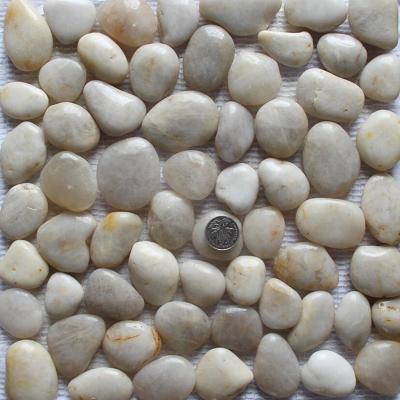 China White Pebble Mosaic 30x30cm Polished River Stone Sheet on Mesh for Landscaping for sale