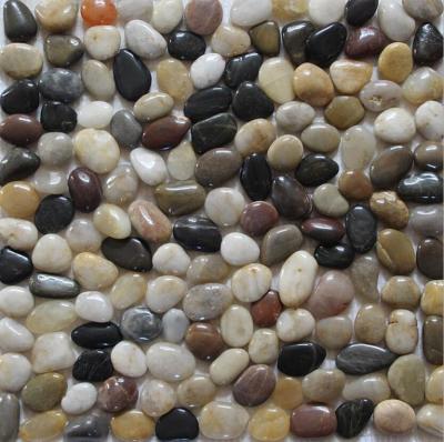 China Mixed Colors Pebble Mosaic 30x30cm River Stone Sheet on Mesh for Landscaping Decoration for sale