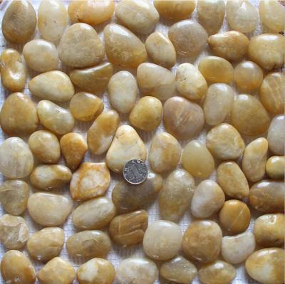China Yellow Pebble Mosaic on Mesh 30x30cm Polished River Stone Sheet for Landscaping for sale