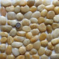 China Yellow Pebble Mosaic on Mesh 30x30cm Polished River Stone Sheet for Landscaping for sale