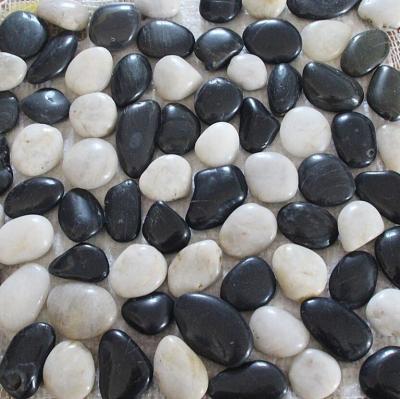 China White Mixed Black Pebble Mosaic 30x30cm Polished Cobble Stone on Mesh River Stone Sheet for sale