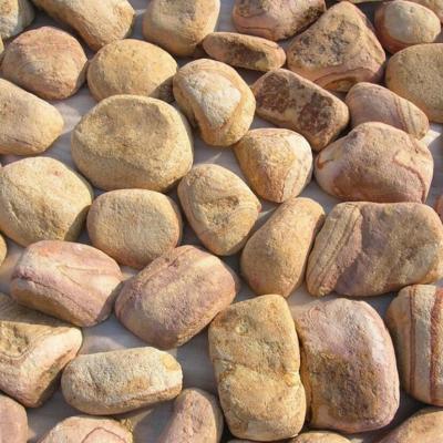 China Yellow Sandstone Pebble Wall Stone 10-25cm Natural Landscaping Pebble for Wall Cladding for sale